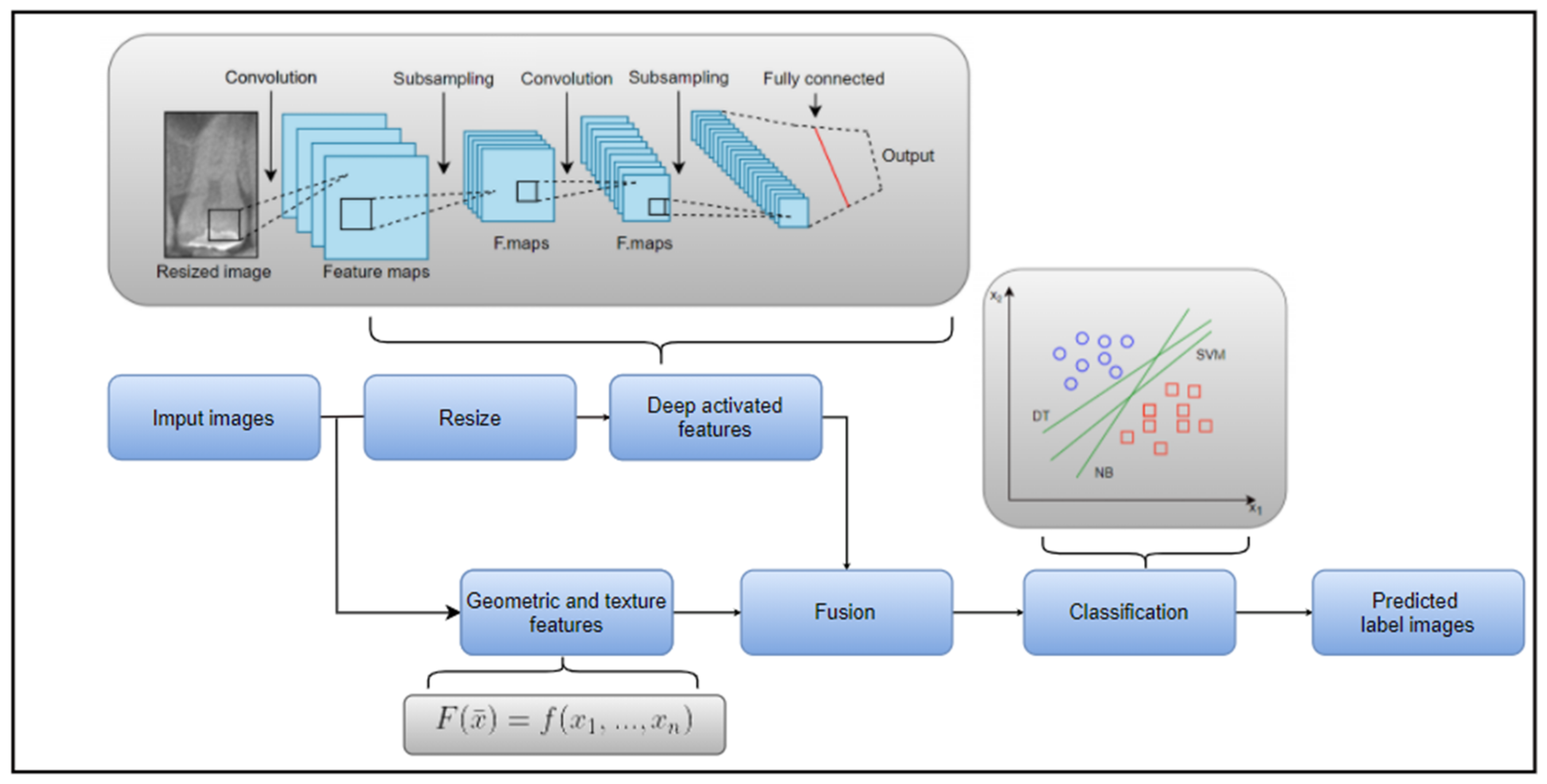 Deep Fusion Feature Extraction for Caries Detection on Dental Panoramic Radiographs