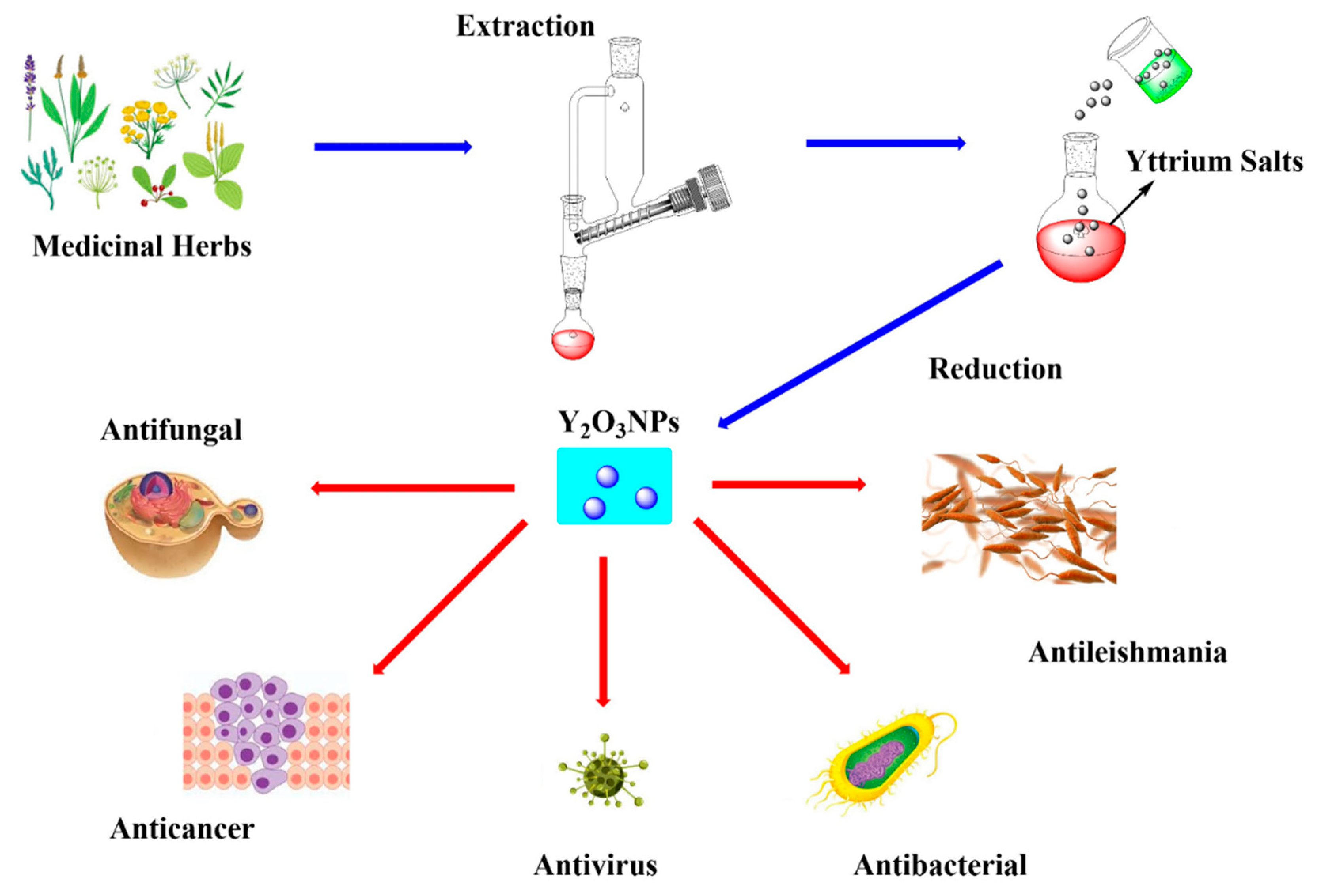 Applied Sciences | Free Full-Text | Yttrium Oxide Nanoparticle ...