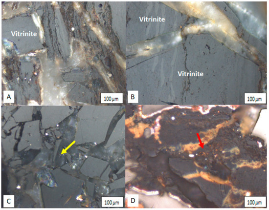 Maceral Types and Quality of Coal in the Tuli Coalfield: A Case Study ...