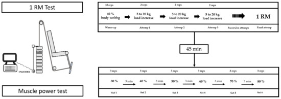 Test-Retest and Minimal Detectable Change in the Assessment of Muscle ...