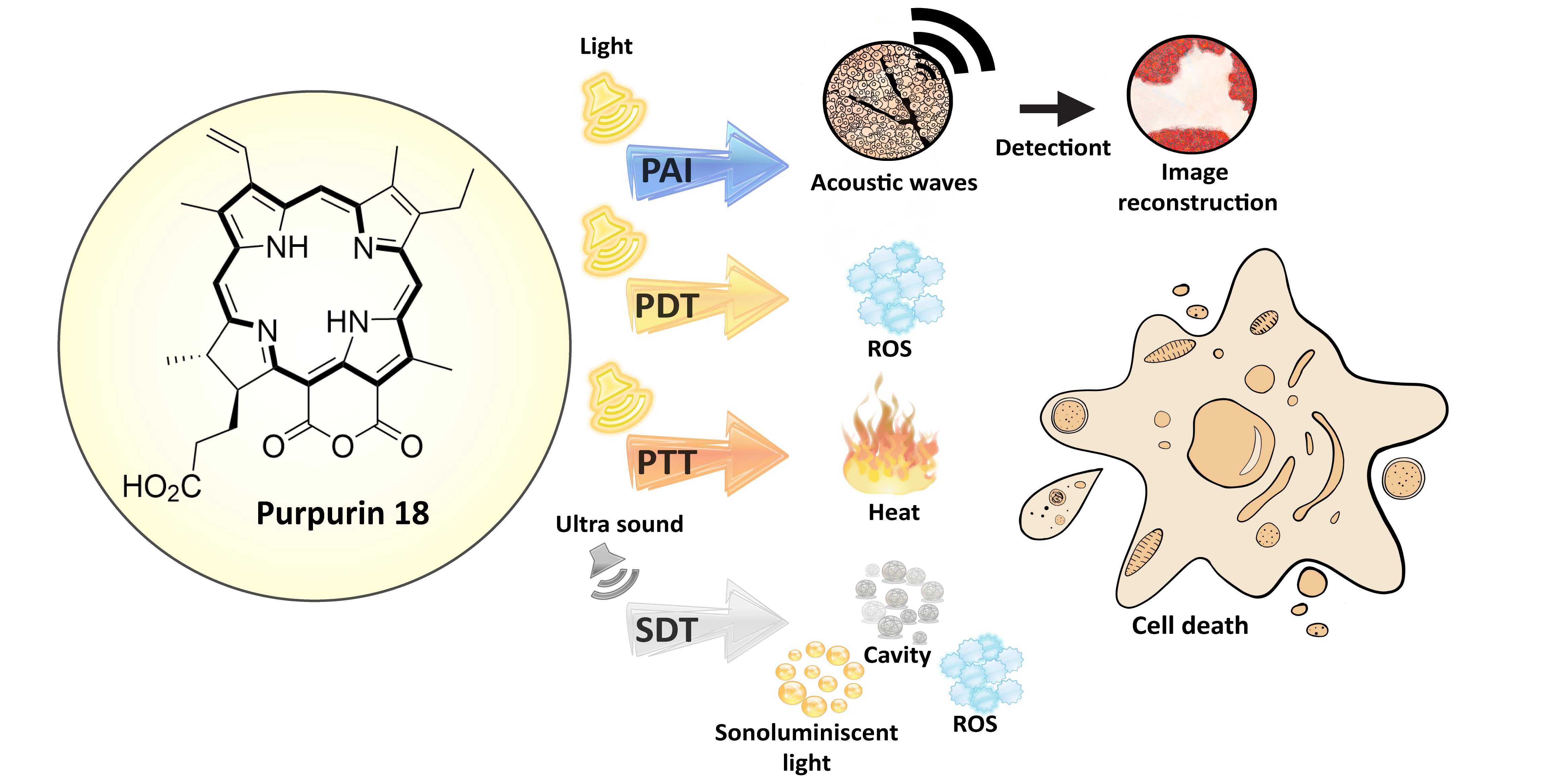 Applied Sciences | Free Full-Text | Advances in Purpurin 18 Research ...