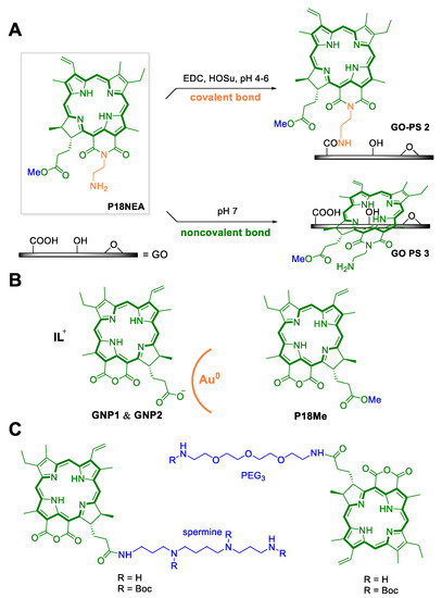 Advances in Purpurin 18 Research: On Cancer Therapy