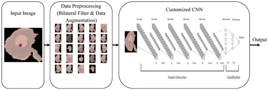 Deep Malaria Parasite Detection in Thin Blood Smear Microscopic Images