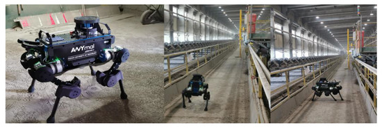 Belt Conveyors Rollers Diagnostics Based on Acoustic Signal Collected ...