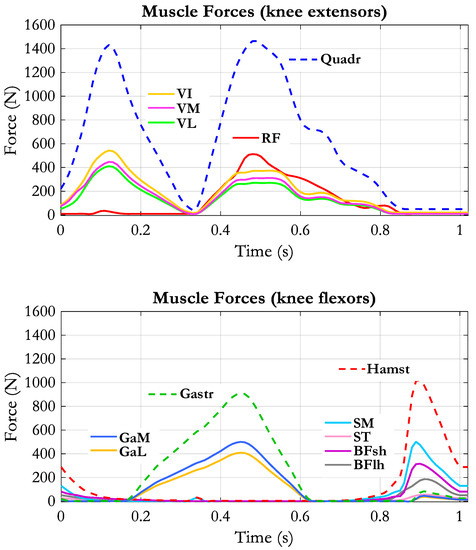 The Effects of External Loads and Muscle Forces on the Knee Joint ...