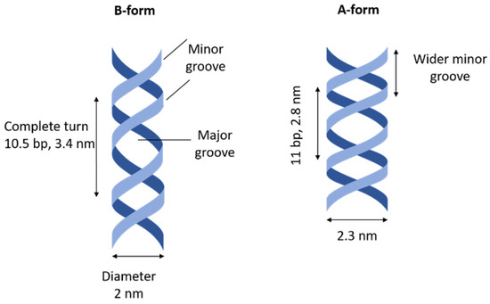 Conformational Transitions of Double-Stranded DNA in Thin Films