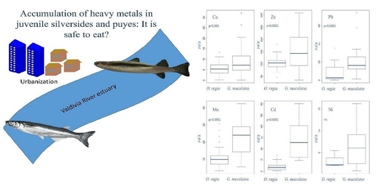 Applied Sciences | Free Full-Text | Assessment of Heavy Metal ...