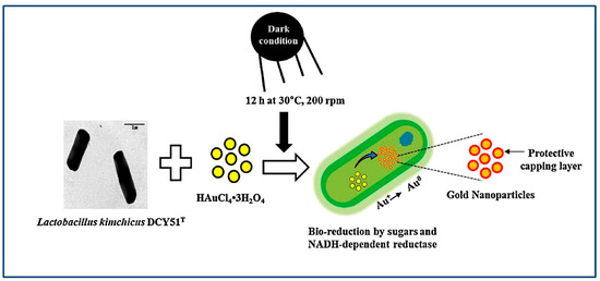 Biogenic Nanoparticles: Synthesis, Characterisation and Applications