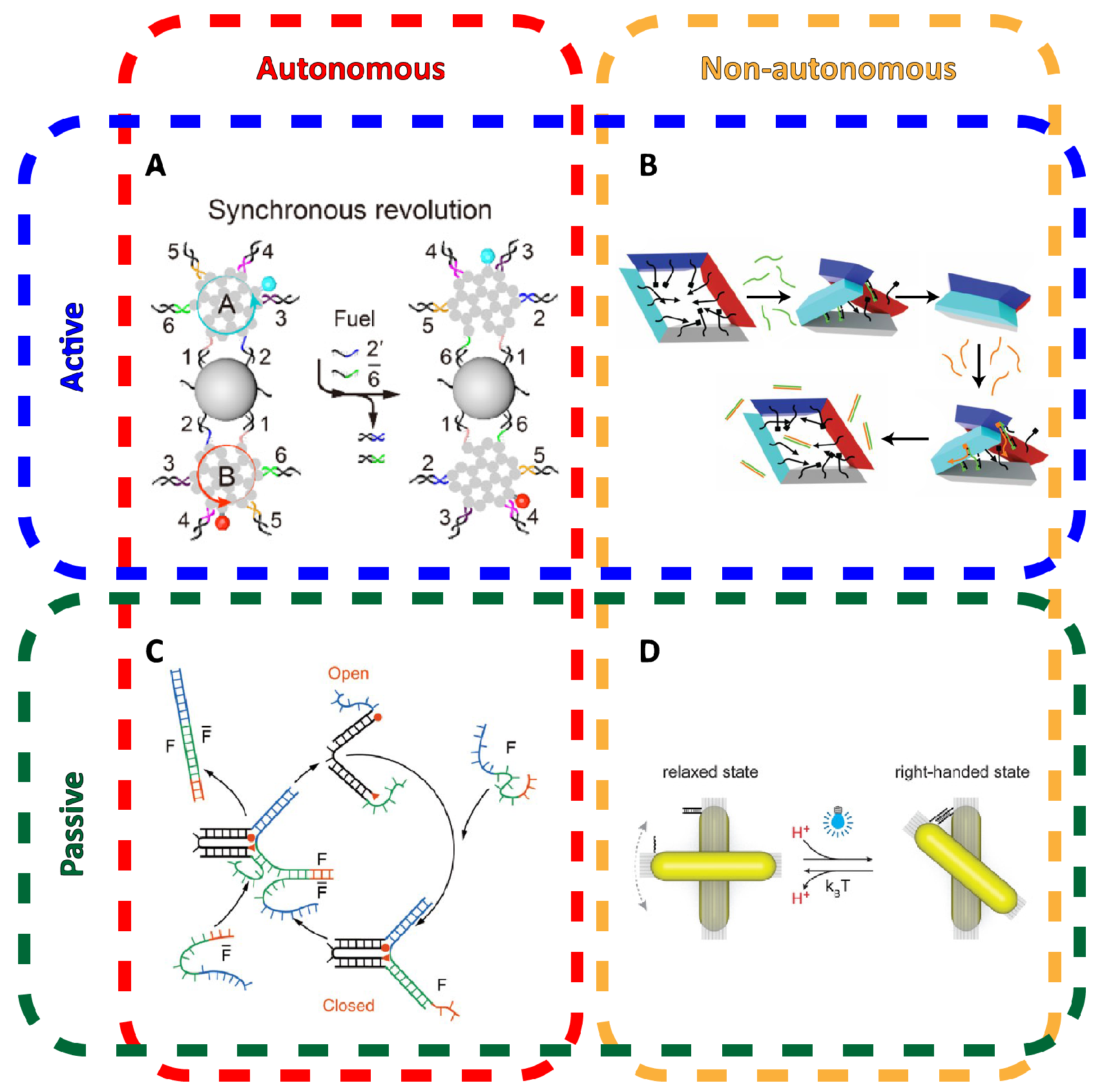 3D DNA Nanostructures: The Nanoscale Architect