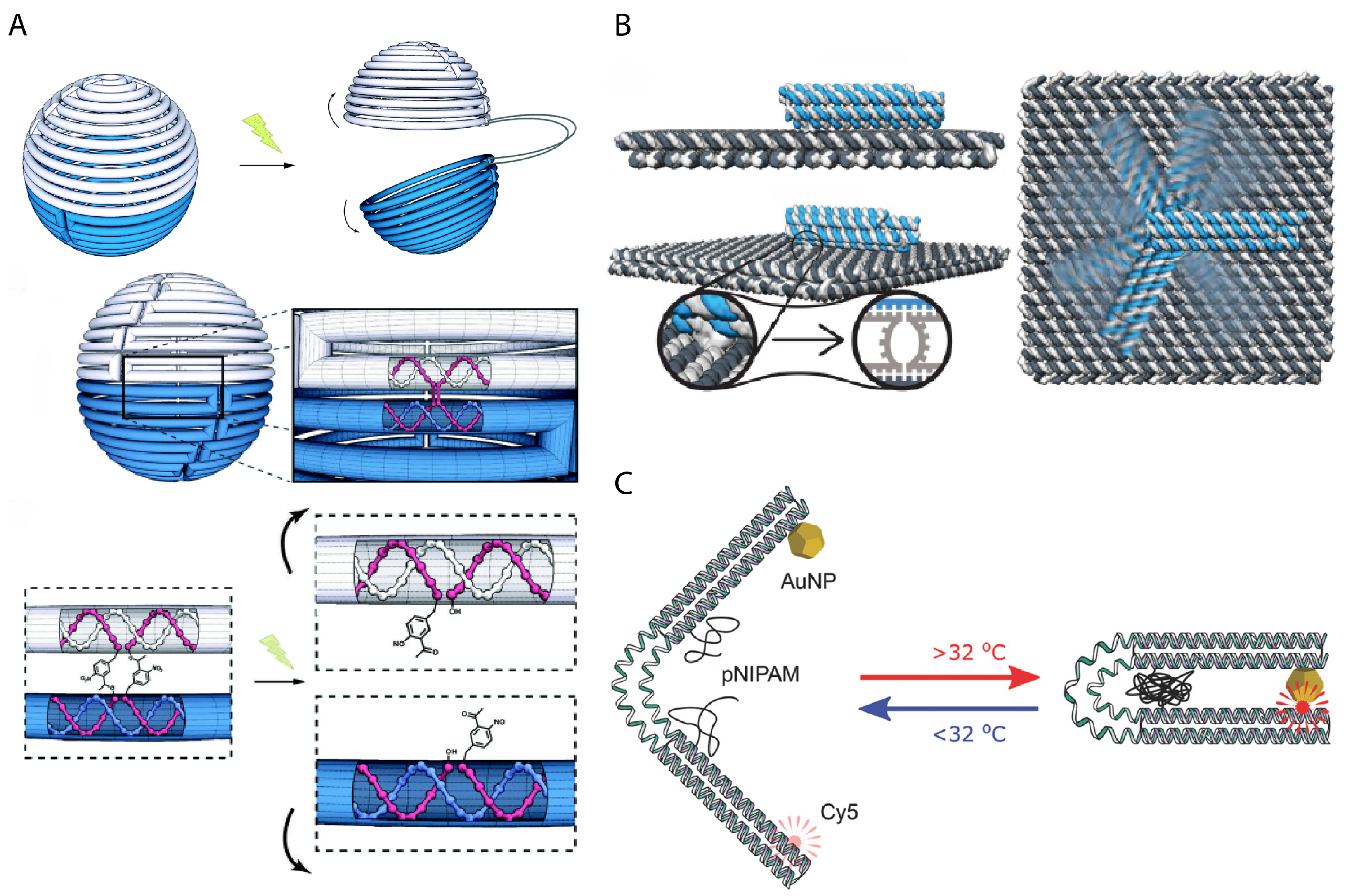 3D DNA Nanostructures: The Nanoscale Architect