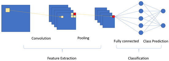 Applied Sciences | Free Full-Text | YeastNet: Deep-Learning-Enabled ...
