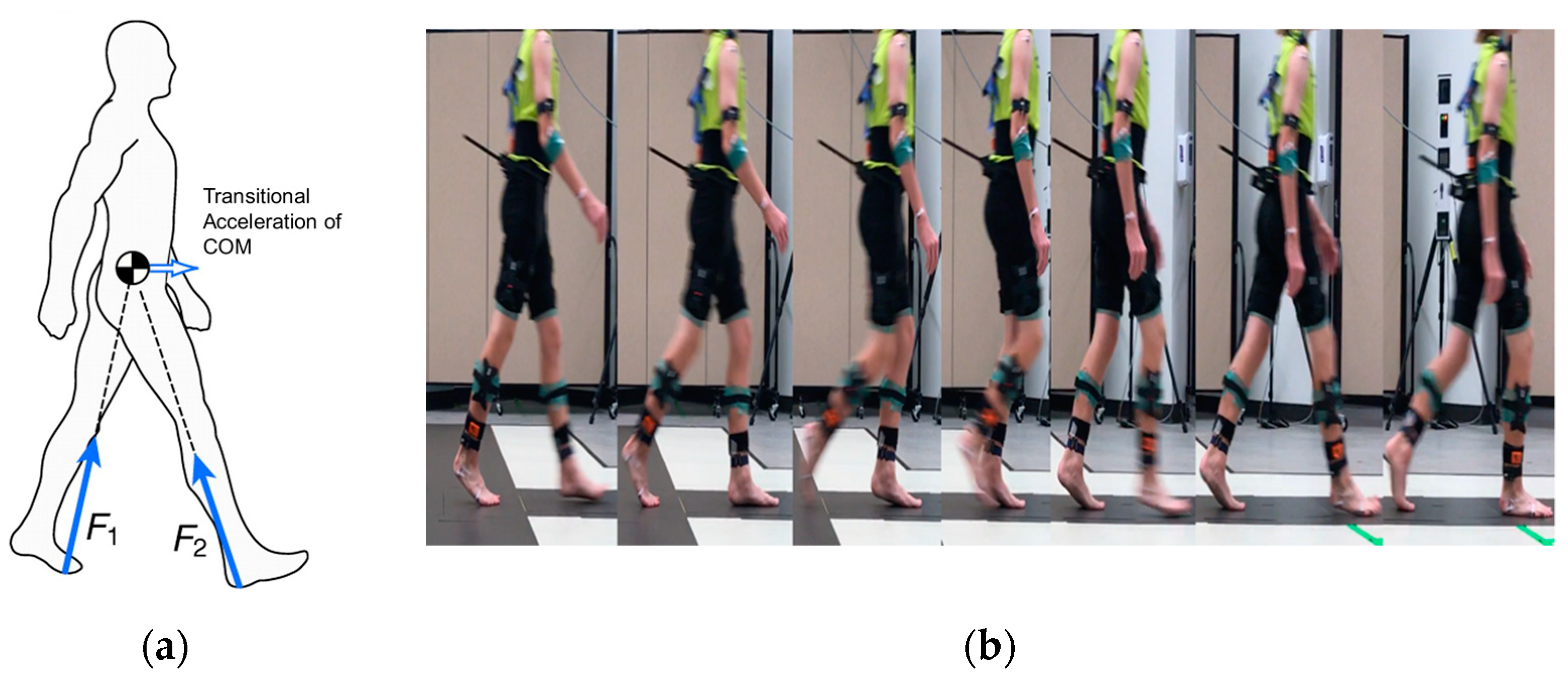 Foot Contact Dynamics and Fall Risk among Children Diagnosed with ...