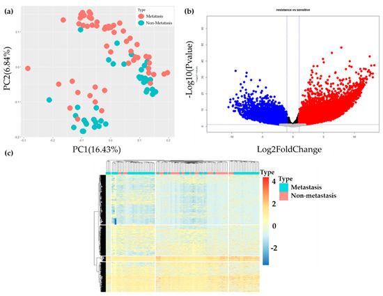 Machine Learning Model for Lymph Node Metastasis Prediction in Breast ...