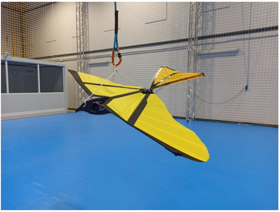 Bio-Inspired Morphing Tail for Flapping-Wings Aerial Robots Using Macro ...