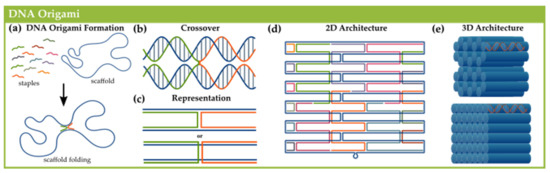 Generating DNA Origami Nanostructures through Shape Annealing