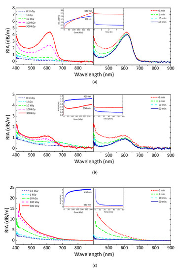 Radiation Effects on Pure-Silica Multimode Optical Fibers in the ...