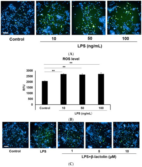 Applied Sciences | Free Full-Text | β-lactolin, a Monoamine Oxidase B ...