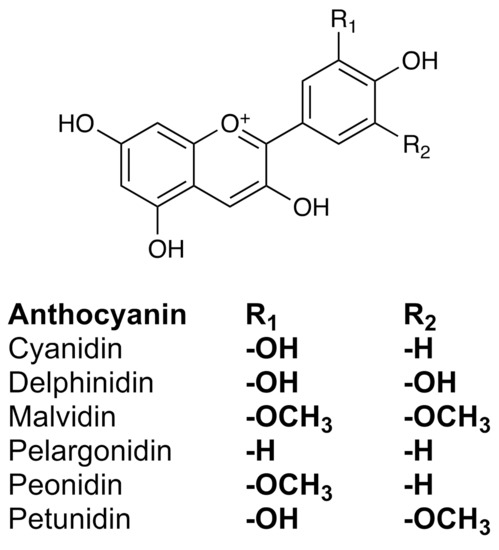 Spectroscopic and Spectrometric Applications for the Identification of ...