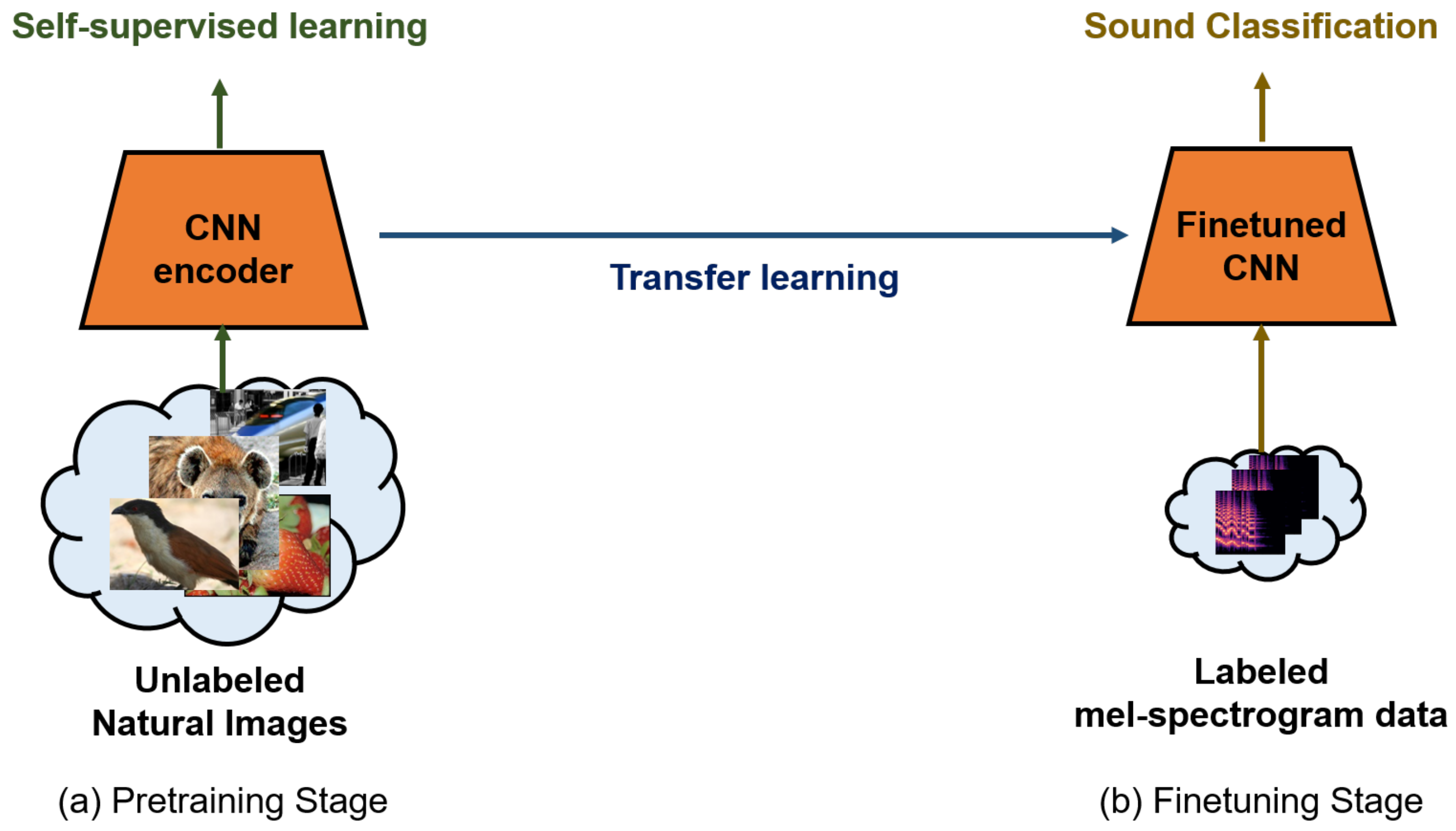 Self-Supervised Transfer Learning from Natural Images for Sound ...