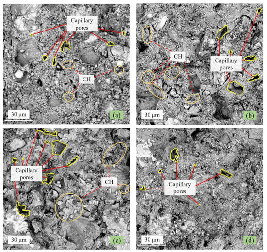 Effects of Water-to-Cement Ratio on Pore Structure Evolution and ...