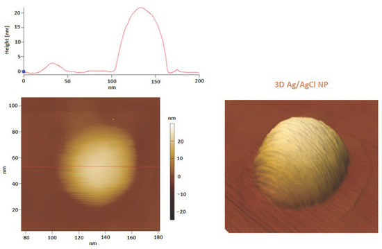 Bacteria-Mediated Synthesis of Silver and Silver Chloride Nanoparticles ...