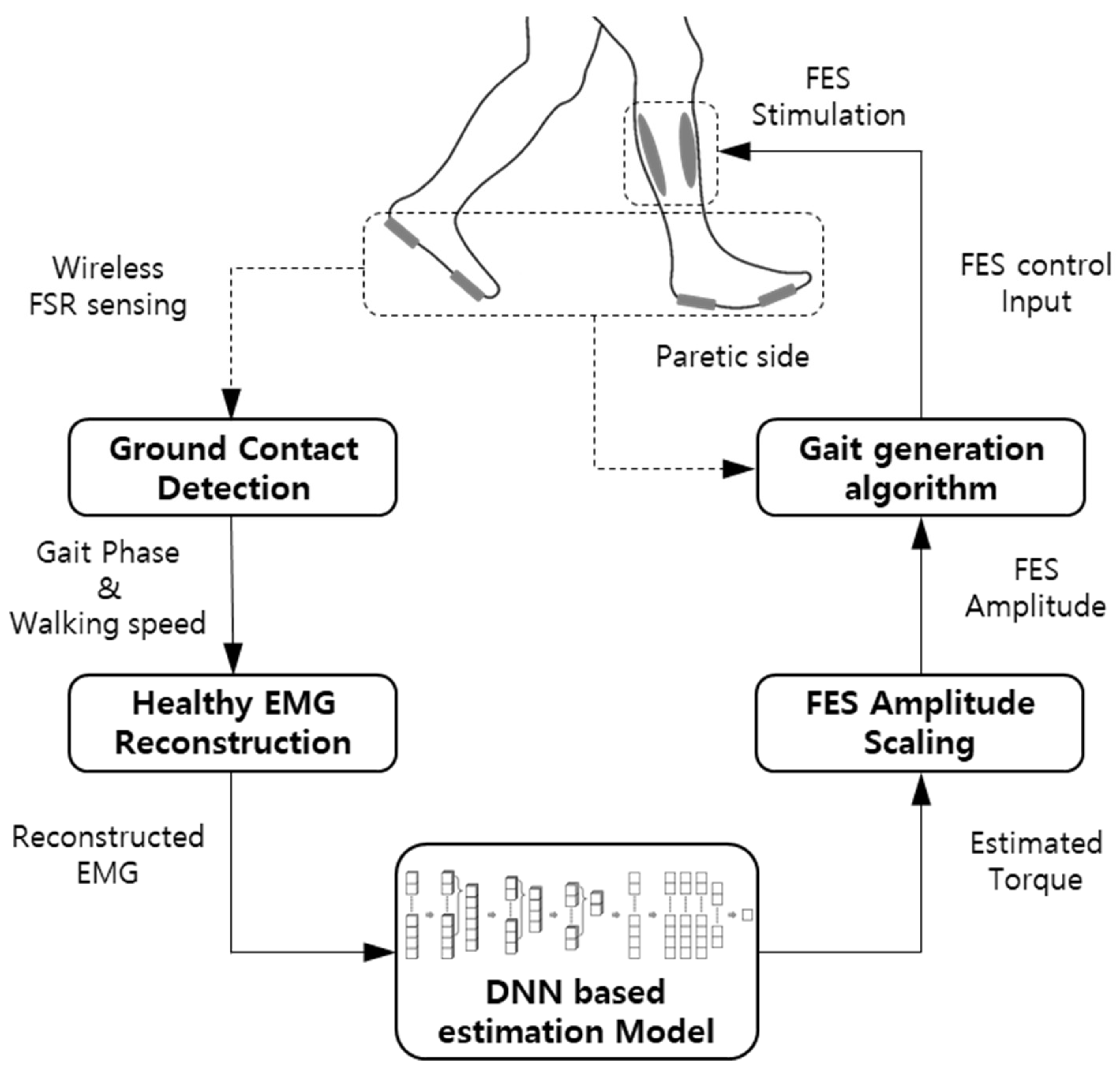 Applied Sciences | Free Full-Text | DNN-Based FES Control for Gait ...