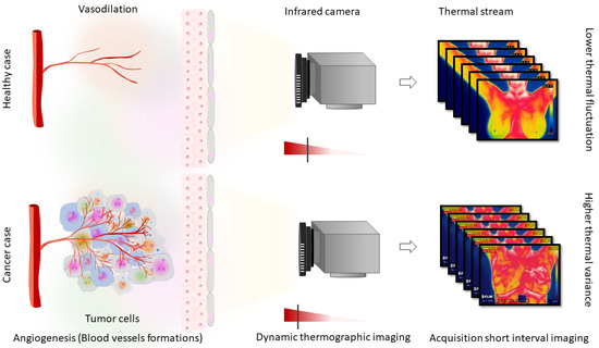 SPAER: Sparse Deep Convolutional Autoencoder Model to Extract Low ...