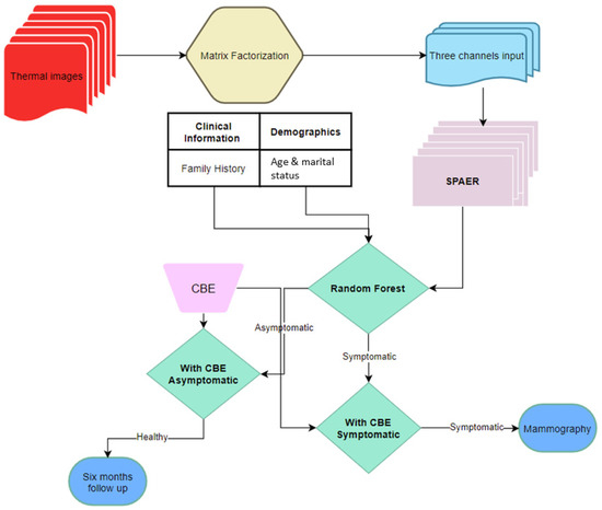 SPAER: Sparse Deep Convolutional Autoencoder Model to Extract Low ...