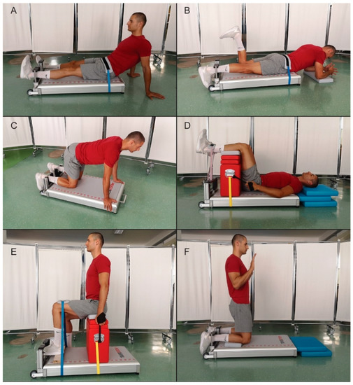 Reliability of a New Portable Dynamometer for Assessing Hip and Lower ...