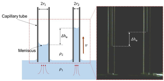 Effects of Tube Radius and Surface Tension on Capillary Rise Dynamics ...