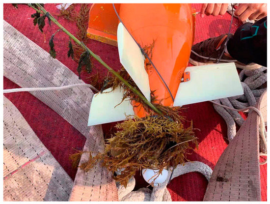 Online Learning Based Underwater Robotic Thruster Fault Detection