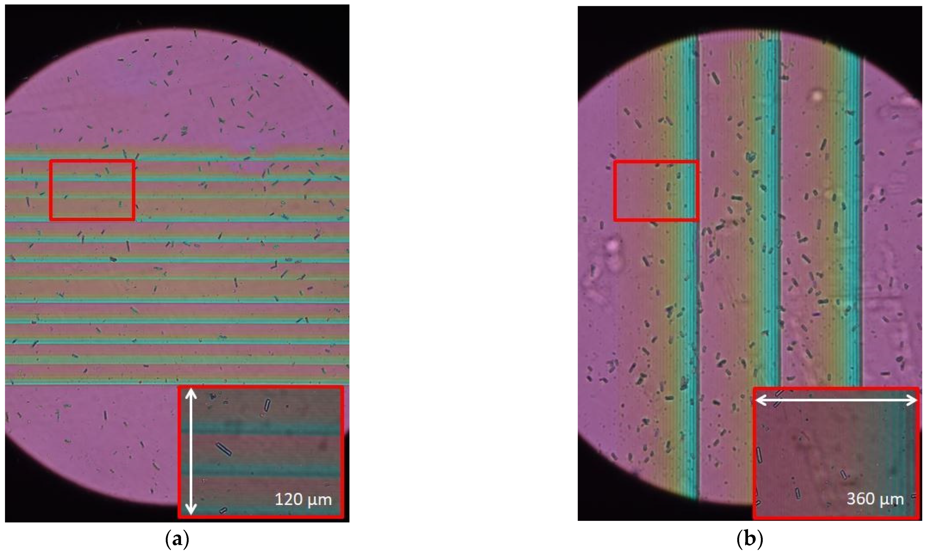 Two-Dimensional Digital Beam Steering Based on Liquid Crystal Phase ...