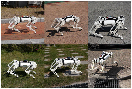 Design and Control of a Open-Source, Low Cost, 3D Printed Dynamic Quadruped Robot