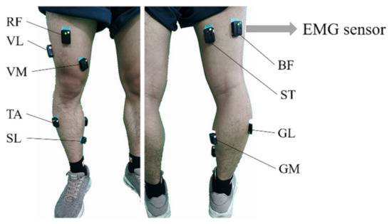 Applied Sciences | Free Full-Text | The Muscle Fatigue’s Effects on the ...