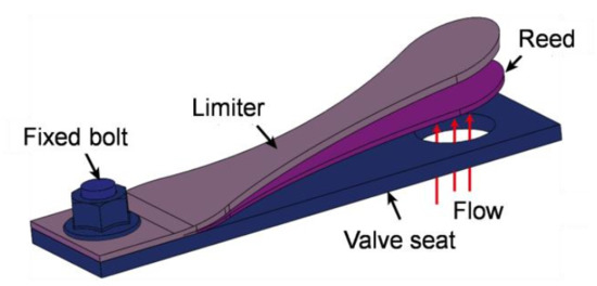 Applied Sciences | Free Full-Text | Investigation on Dynamic Characteristics of the Reed Valve ...