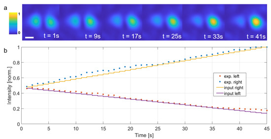 Complex Wavefront Shaping through a Multi-Core Fiber