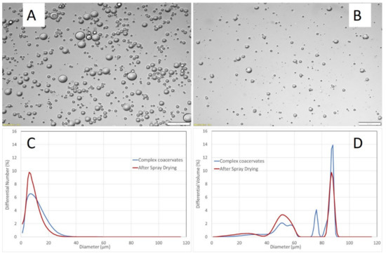 Microencapsulation of Peppermint Oil by Complex Coacervation and ...