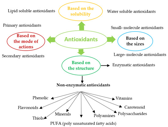 Antioxidants Encyclopedia Mdpi