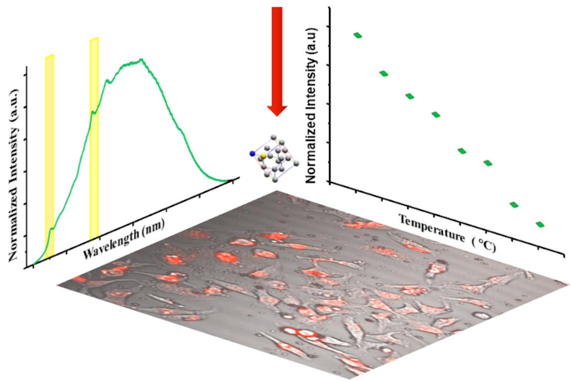 Applied Sciences | Free Full-Text | Thermometric Characterization of ...