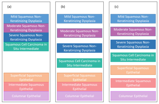 A Hierarchical Feature-Based Methodology to Perform Cervical Cancer ...