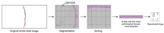 A Multi-Channel and Multi-Spatial Attention Convolutional Neural ...