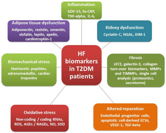 Heart Failure and Diabetes Mellitus: Biomarkers in Risk Stratification ...