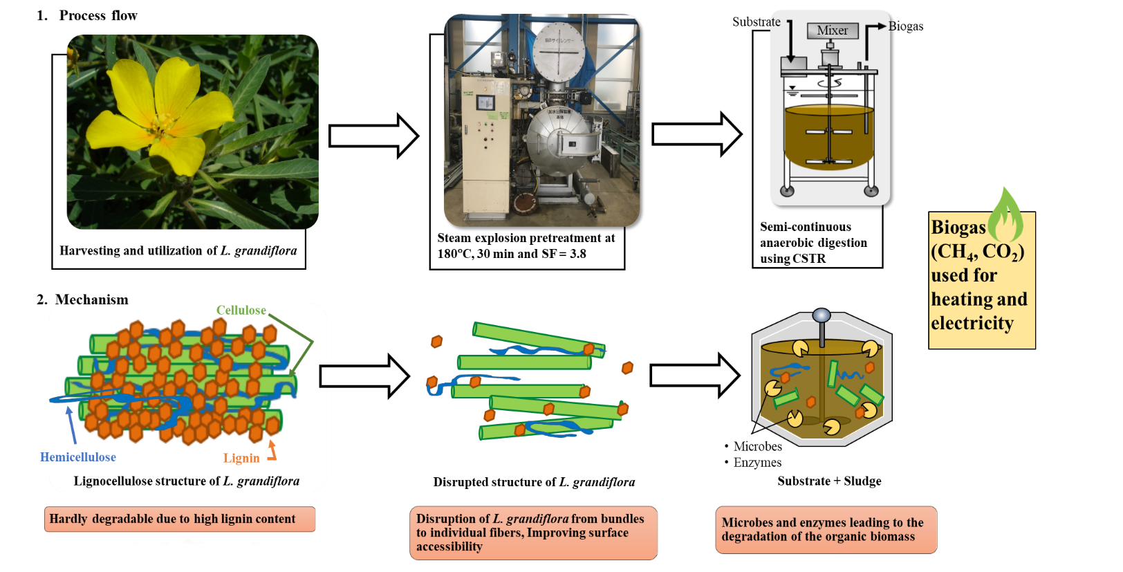 Applied Sciences | Free Full-Text | Effect of Semi-Continuous Anaerobic ...