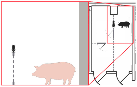 Objective Assessment of Porcine Voice Acoustics for Laryngeal Surgical ...