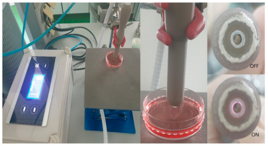 Anticancer Efficacy of Nonthermal Plasma Therapy Combined with PD-L1 ...