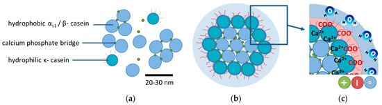 Applied Sciences | Free Full-Text | Affecting Casein Micelles by Pulsed ...