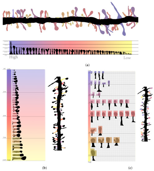 A Unified Framework for Neuroscience Morphological Data Visualization