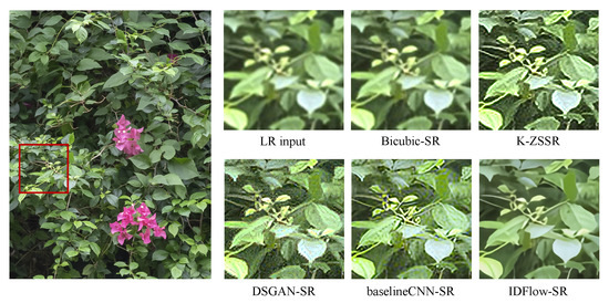Image Degradation Modeling for Real-World Super Resolution via Conditional Normalizing Flow