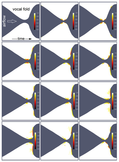Vibrations of Nonlinear Elastic Structure Excited by Compressible Flow