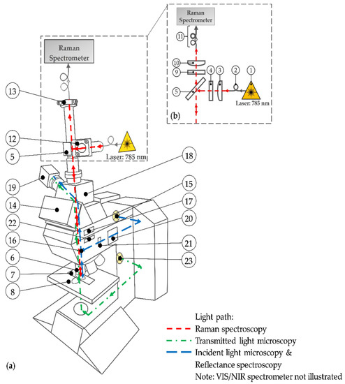 Applied Sciences | Free Full-Text | Design of a Multimodal Imaging ...
